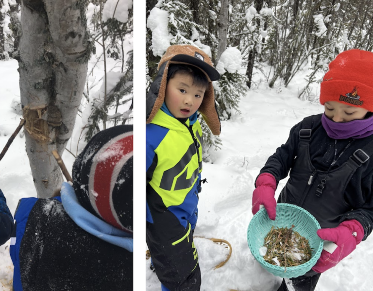 Learning Story – Donovan’s Trapping Camp – Bushkids