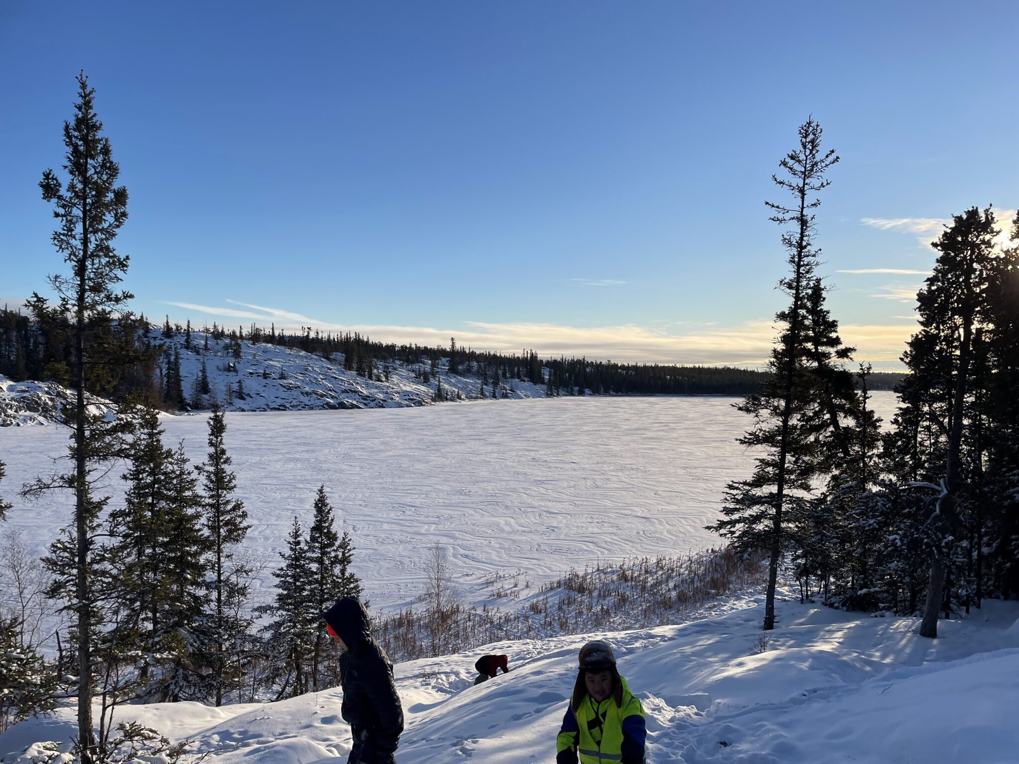 Learning Story – How can we make connections? – Bushkids